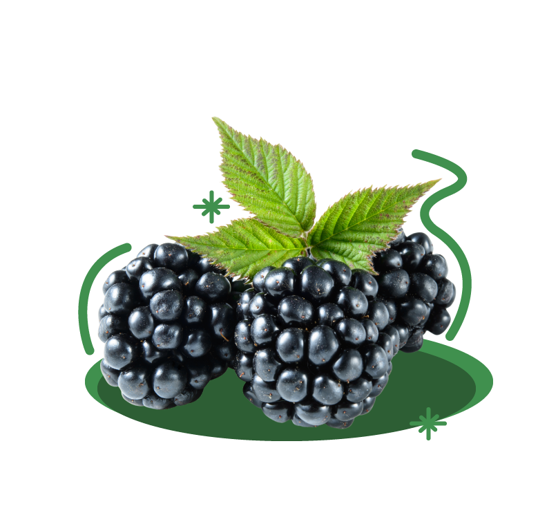 SaveFruit: Duplique la Vida Útil de sus Frutas con Nuestros Productos Biotecnológicos para ...